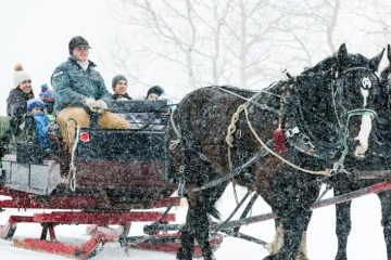 Sleigh Ride in Park City, UT | Broken Arrow Sleigh Rides