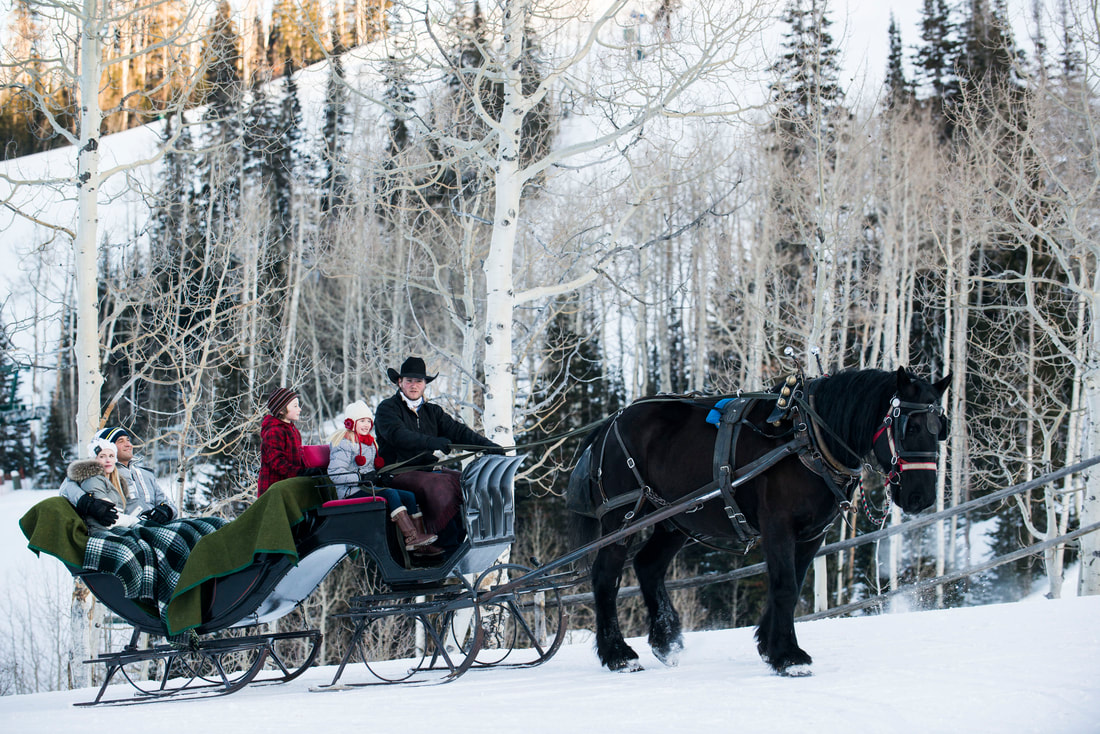 Sleigh Ride in Park City, UT | Broken Arrow Sleigh Rides